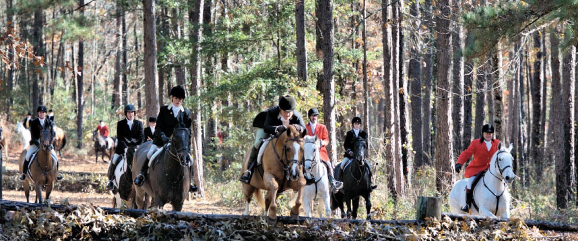 The Prestigious Hitchcock Woods Hunt Club: A Century of Tradition and ...